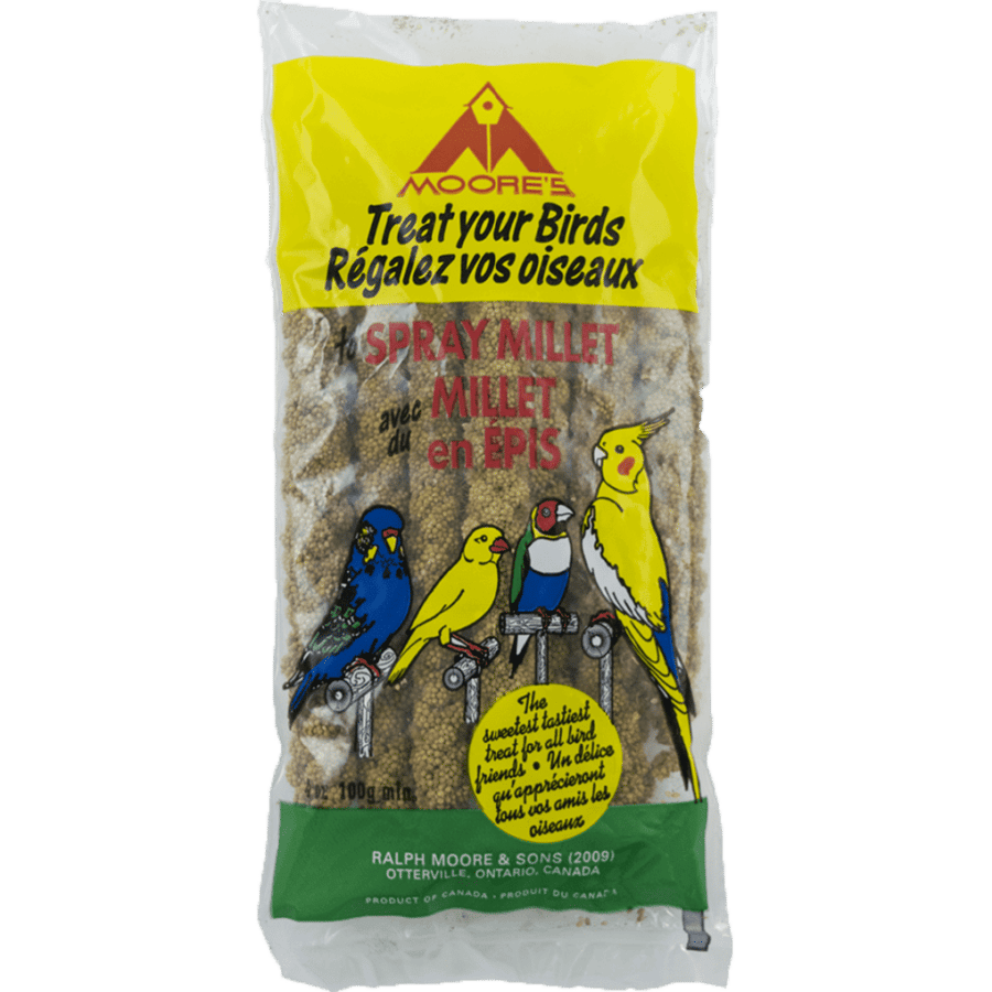 JW Millet Spray Holder for Birds
