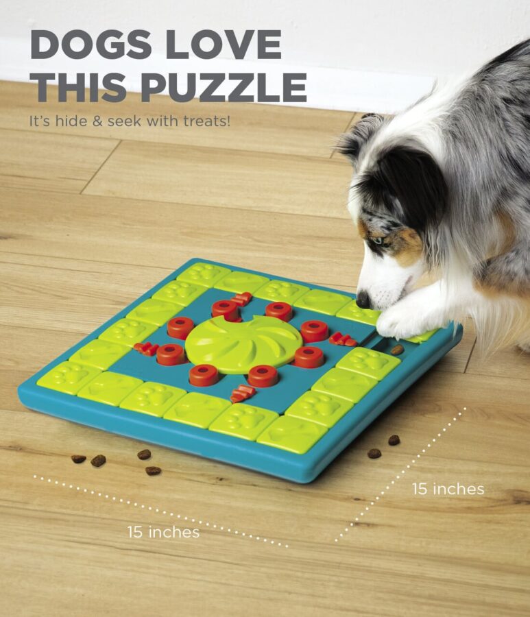 Treat Puzzle - Multipuzzle Dog Game