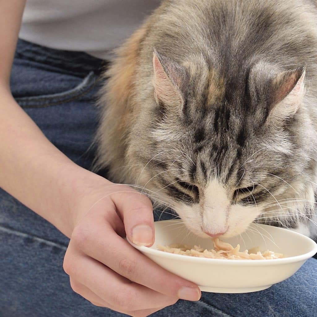 Inaba Chicken Broth with Chicken & Tuna For Cats - Pet Food 'N More