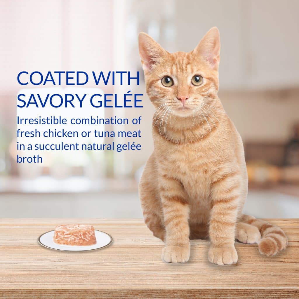 Inaba Twins Tuna & Chicken with Salmon Recipe For Cats - Pet Food 'N More