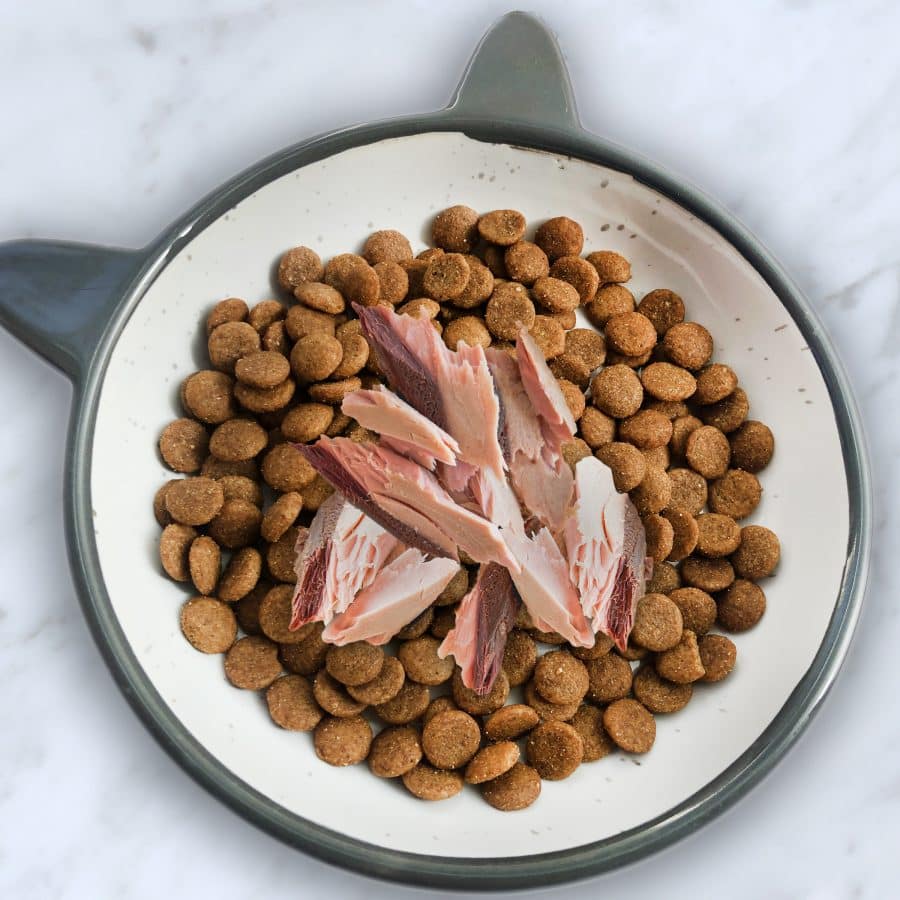 Inaba Grilled Tuna Fillet in Tuna Broth For Cats - Pet Food 'N More