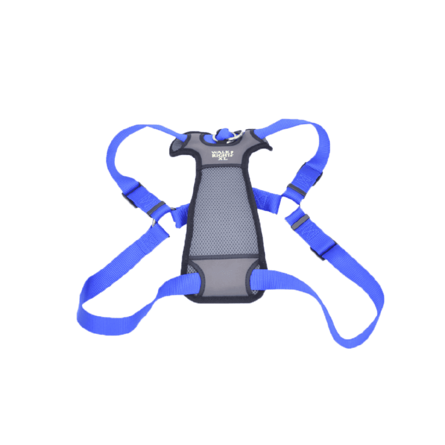 Coastal Walk Right Dog Front-Connect Harness Blue - Pet Food 'N More